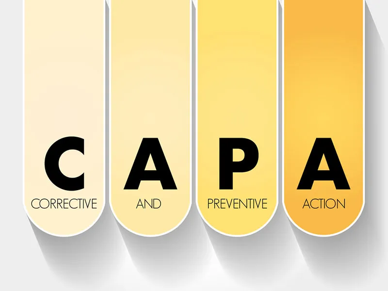 Fundamentals of the CAPA Quality Process