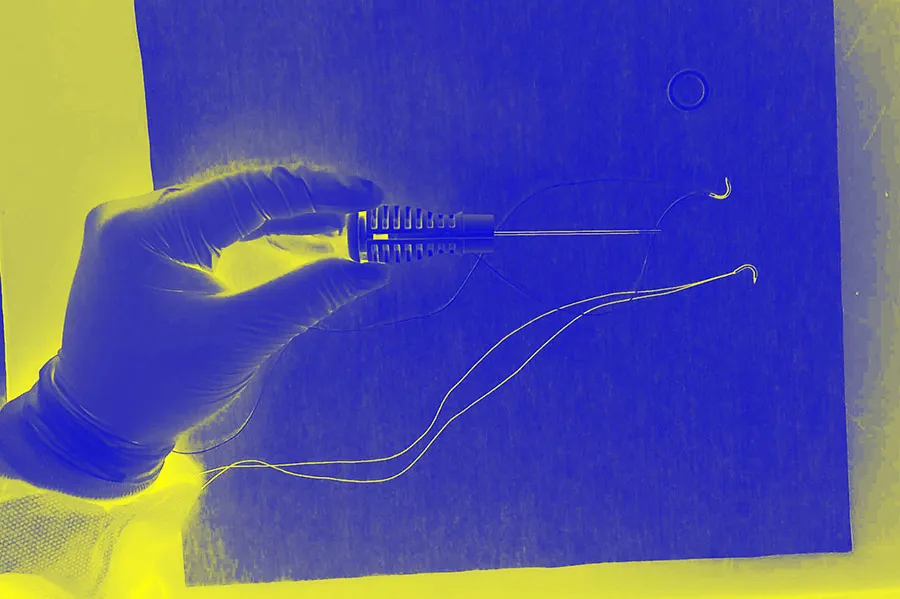 Remote Packaging Collaboration